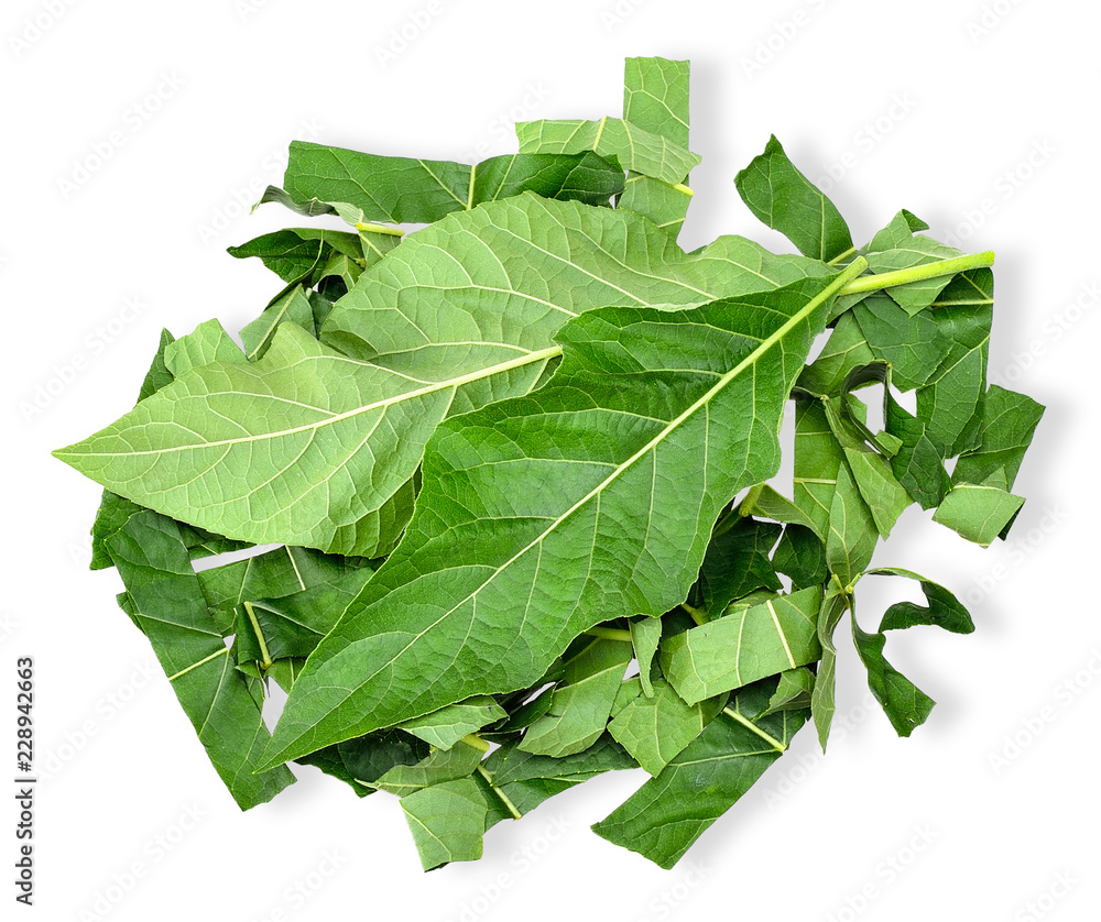 Vasa -- Medicinal Uses and benefits — Ayureveryday.